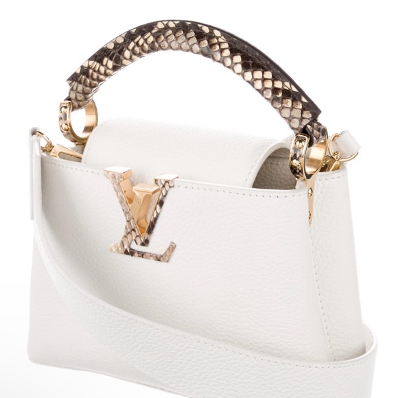 Louis Vuitton | Bags | Louis Vuitton 220 Water Snake A Trimmer Mini ...
